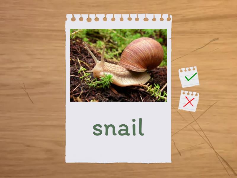 Unit 3 - Flash cards