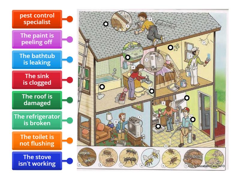 Household issues - Labelled diagram