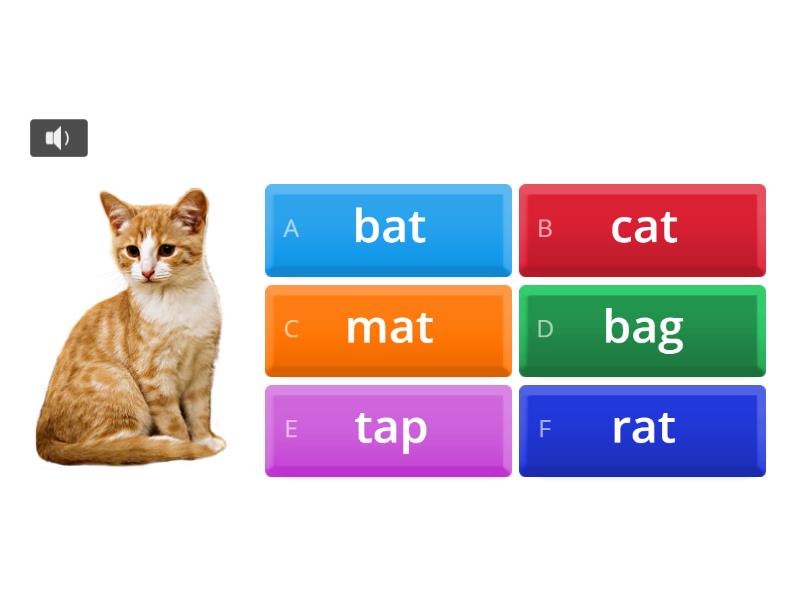 Phase 2 CVC words (medial vowel 'a') (audio supported pictues) - Quiz