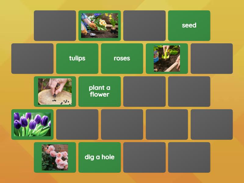 How to plant a flower - Matching pairs