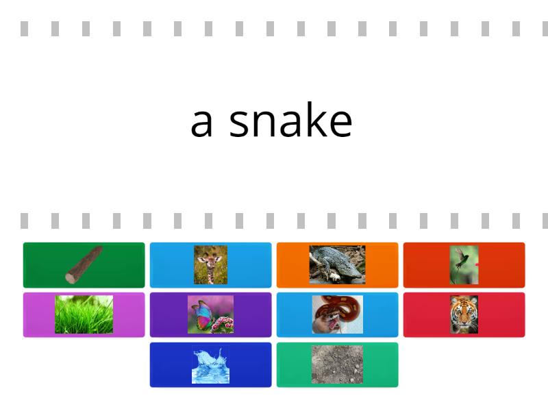 SM 1 Unit 3 - Camouflage vocab - Find the match