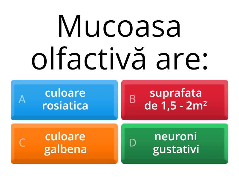 Analizatorul olfactiv - Chestionar
