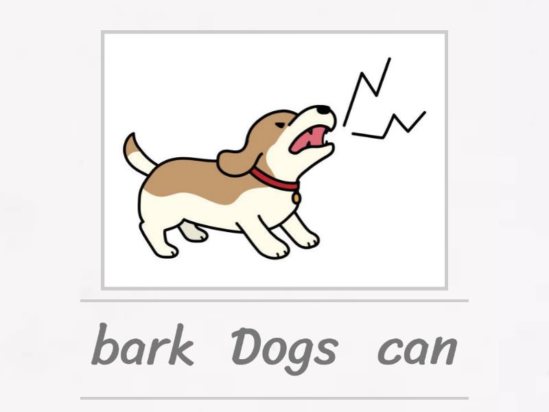 animal action verbs - Reordenar