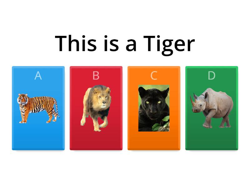 Jungle Animals - Quiz
