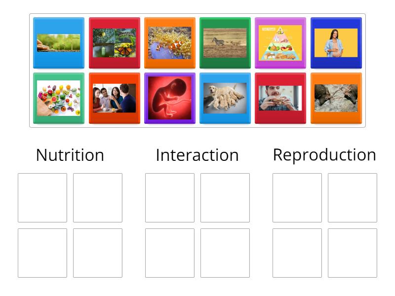 Life Processes - Group sort
