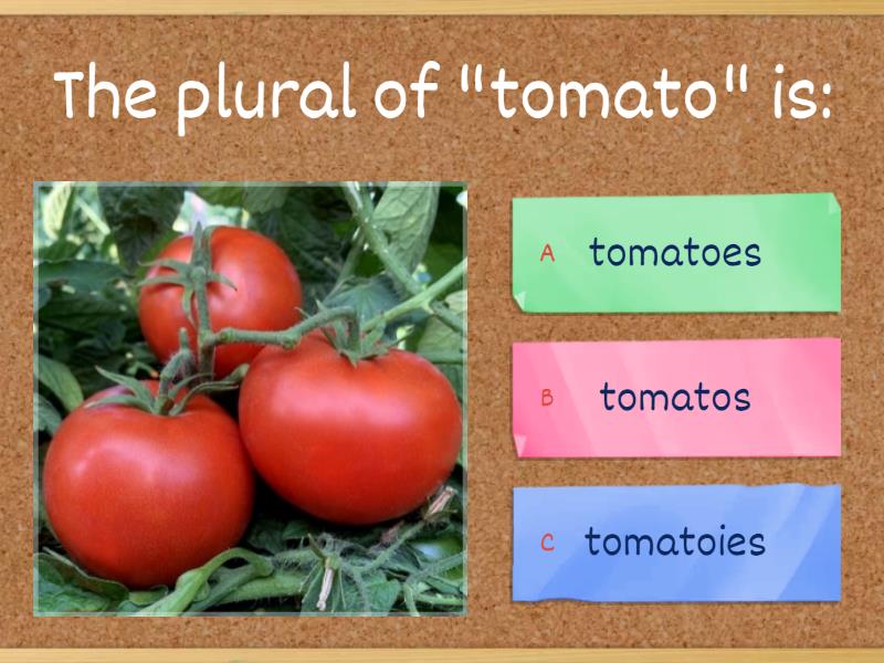 English 3 - Lesson 8 - Plural of Nouns - Quiz