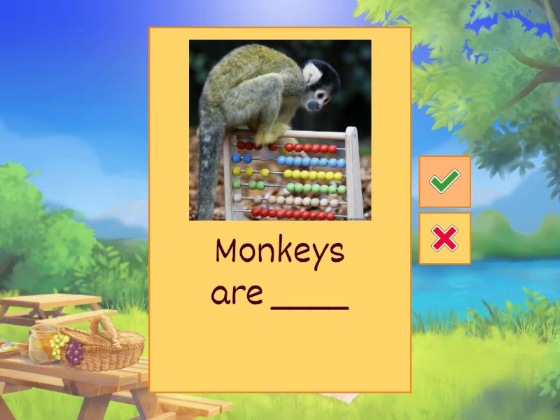 Zlata check - Flash cards