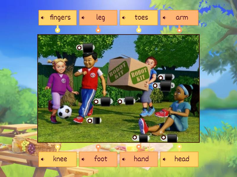 ROBOT - Labelled diagram