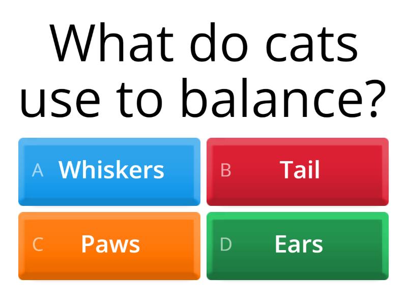 Feline Fundamentals: A Cat - Quiz