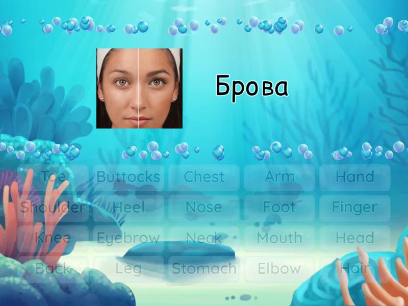 Polik`s dictation (body) - Find the match