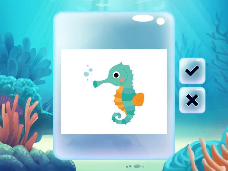 Sea creatures - Flash cards