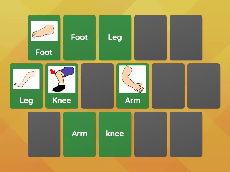 Body parts memory game - Matching pairs