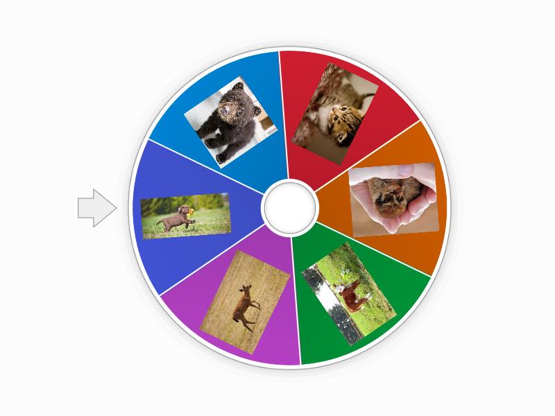 Baby animals - Spin the wheel