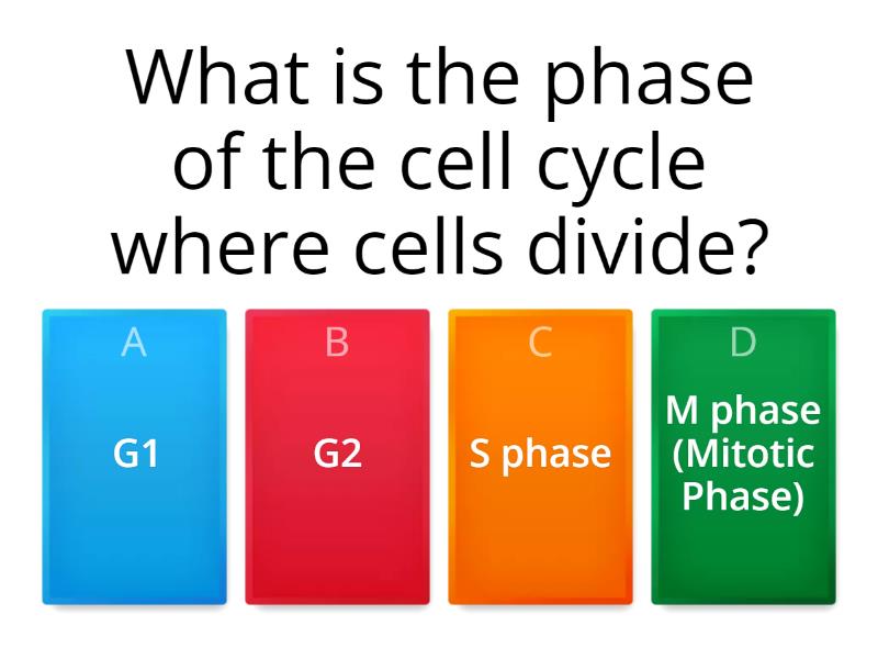 Review- Cell, specialization and organization - Quiz
