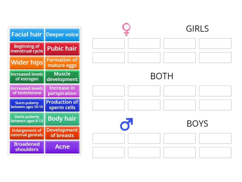 Changes During Puberty - Group sort