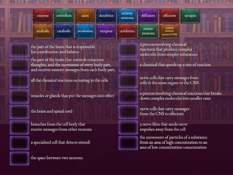 Year 9 Biology Glossary - Match up