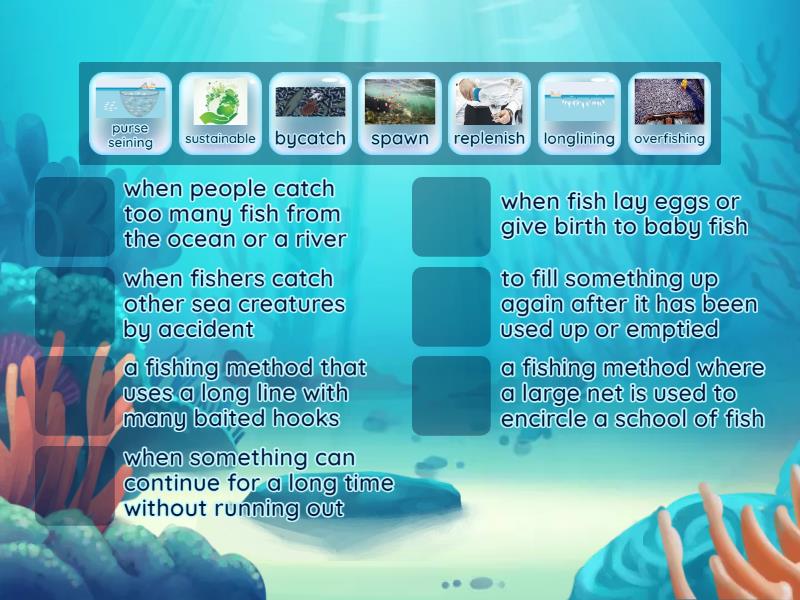 Sustainable Fishing - Match up