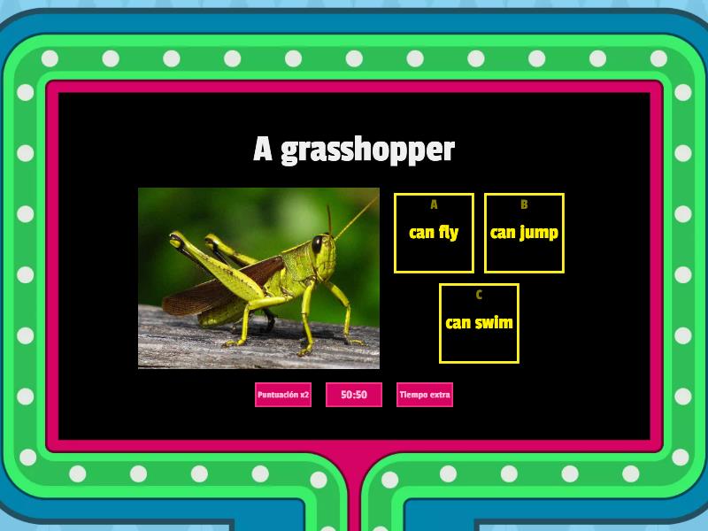 Insects - Gameshow quiz