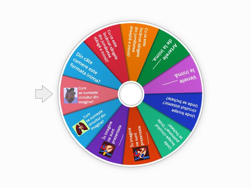 Activitate Biologie. De Tudor Tărău - Random wheel