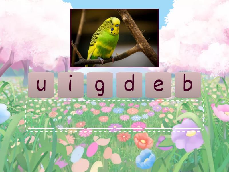 Animals Steps Plus Unit 5 klasa 4 - Anagram