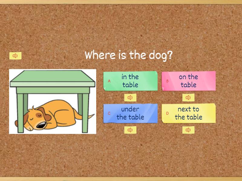 Prepositions (in, on, under, next to) - Questionário