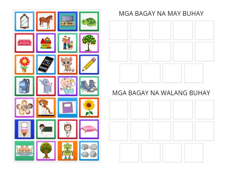 MGA BAGAY NA MAY BUHAY AT MGA BAGAY NA WALANG BUHAY - Group sort