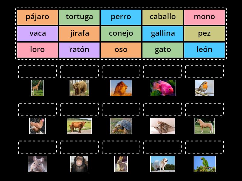 Los animales - Match up