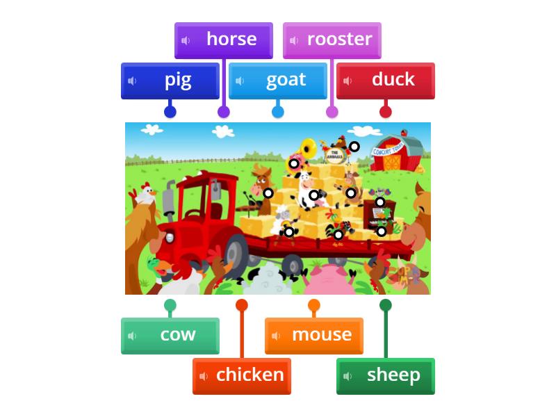 The Animals on the Farm - Labelled diagram
