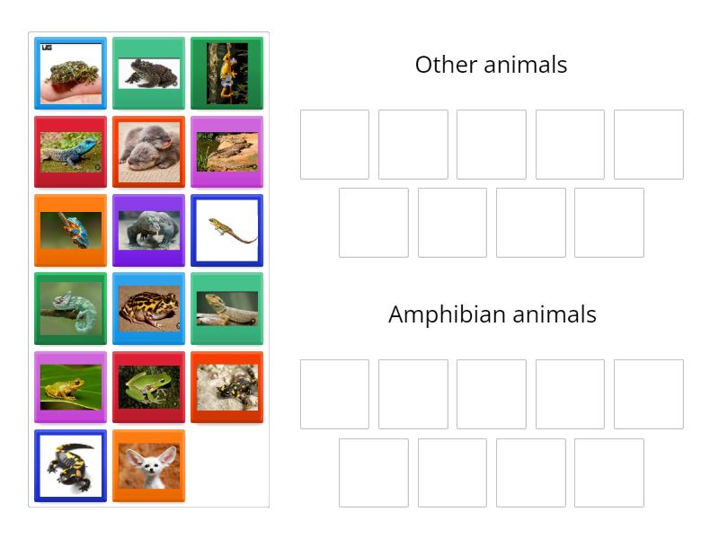 Amphibian sorting - Group sort