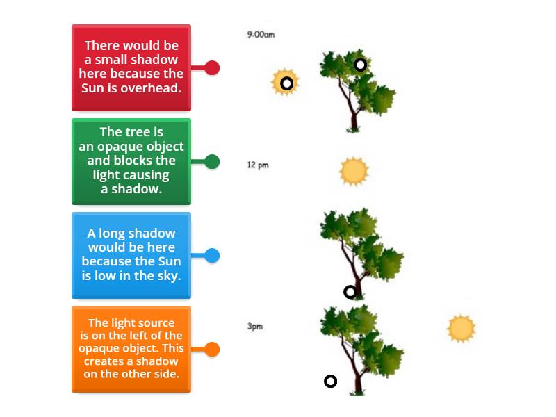 Y3 Shadows - Labelled diagram