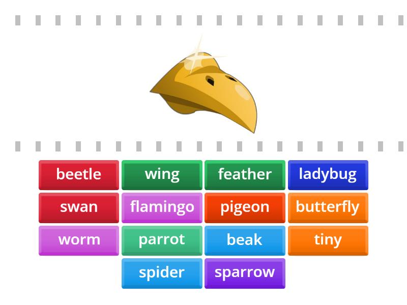 Spelling Bee level A - Animals (Birds and Insects) - Find the match
