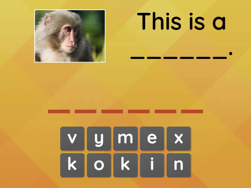 [S1-U1L1PB] Exercise 2: Look, read and write the correct words. - 拼寫單詞