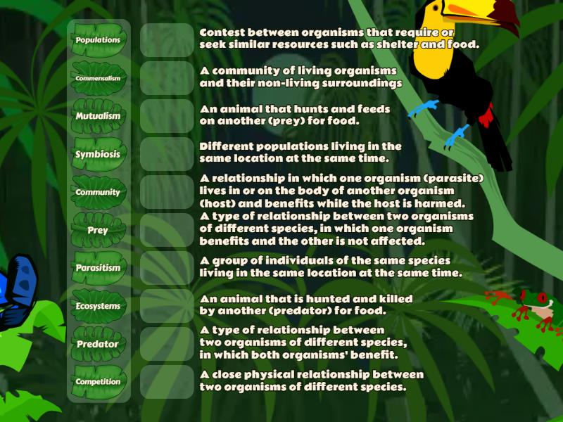 Roles in the ecosystem vocab - Match up