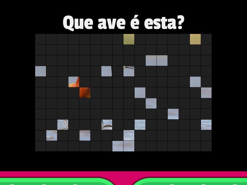 Descubra a Ave da Ilha do Bannal - Tocantins - Image quiz