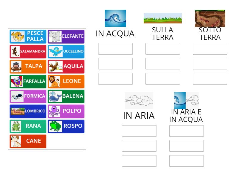 GLI ANIMALI: DOVE VIVONO? - Group sort