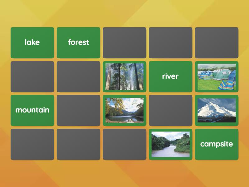 Tiger Time 4 Unit 6 Vocabulary - Matching pairs