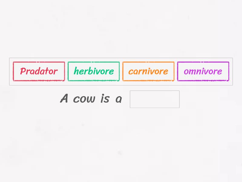 carnivores,omnivores and herbivores - Complete the sentence