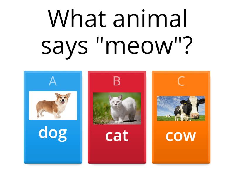 Unit 1 - Lesson 1 - Animals - Quiz