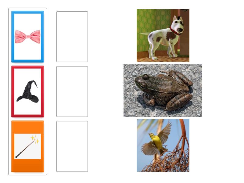 Room on the broom (story matching) - Match up