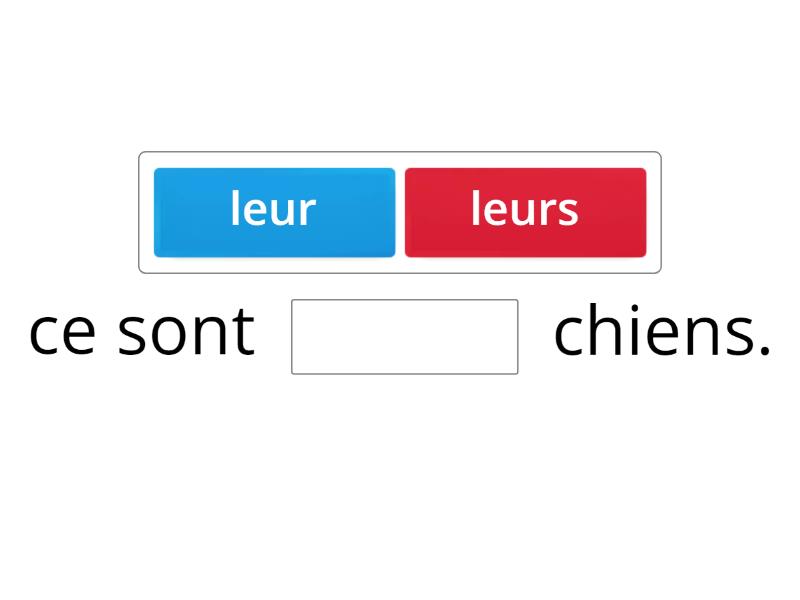 Leur et Leurs - Complete the sentence