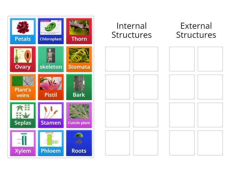 Internal and external structure. - Ordenar por grupo
