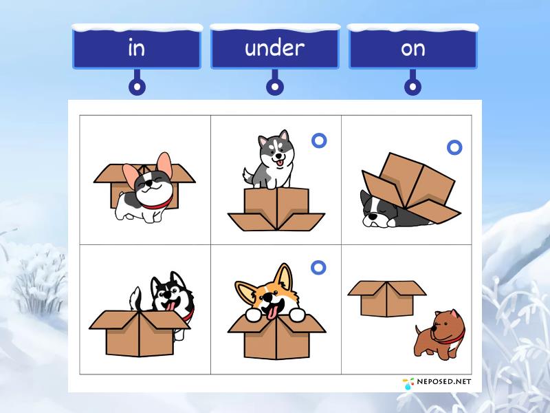 Prepositions in, on, under - Labelled diagram