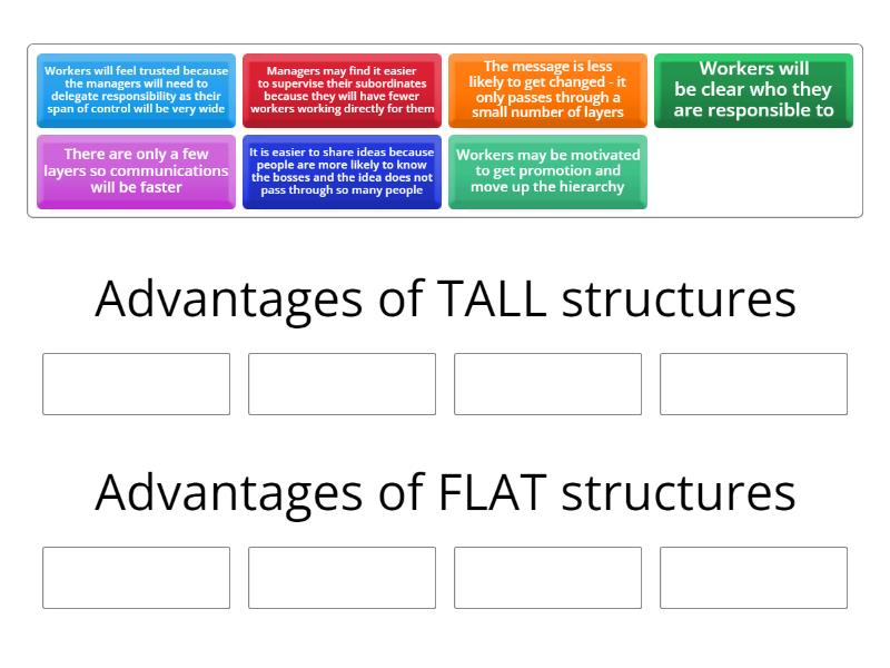 Tall v Flat Organisation Structures - Group sort
