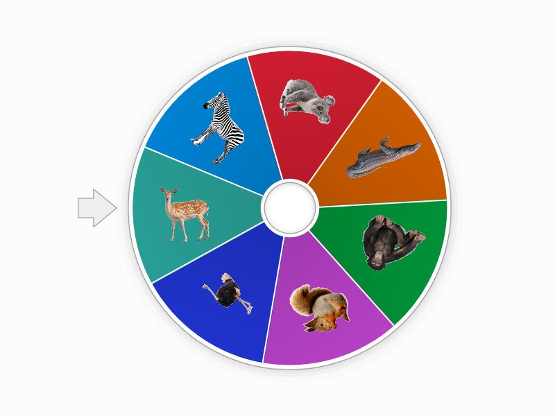 Wild Animals Spin The Wheel
