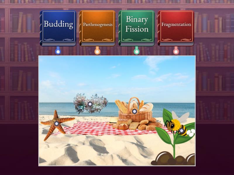 scenery mind map - Labelled diagram