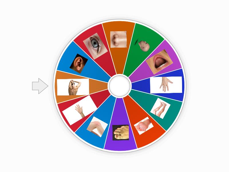Human Body - Spin the wheel