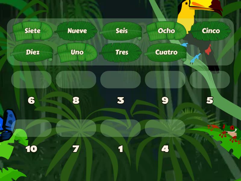 Une los numeros correctos - Match up