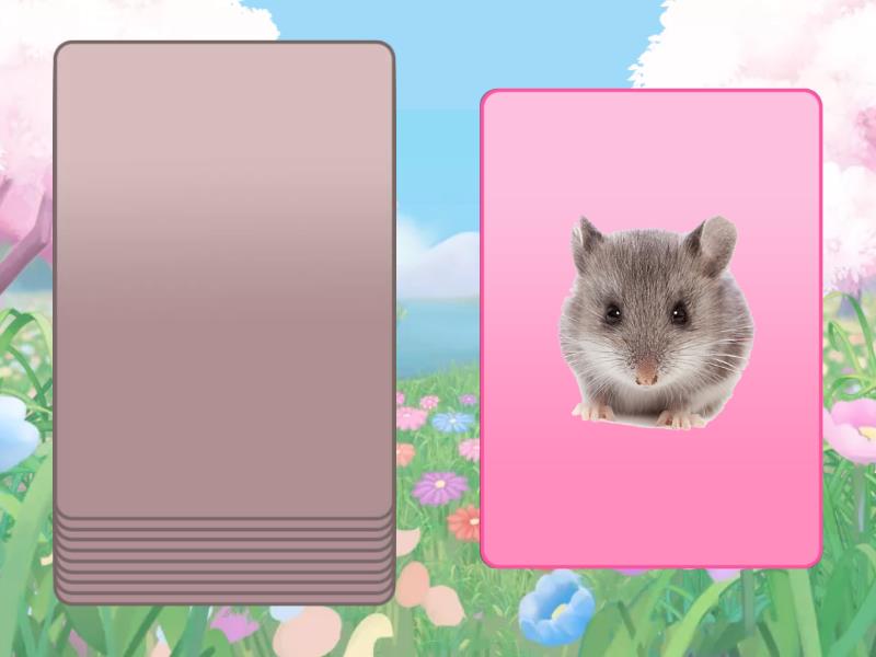 Jeu de devinette les animaux - Speaking cards