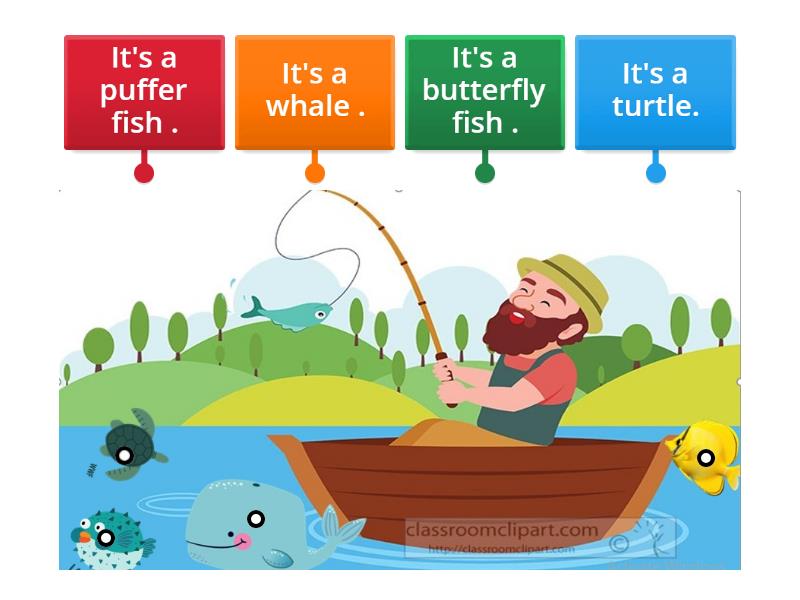 Sea Animals - Labelled diagram