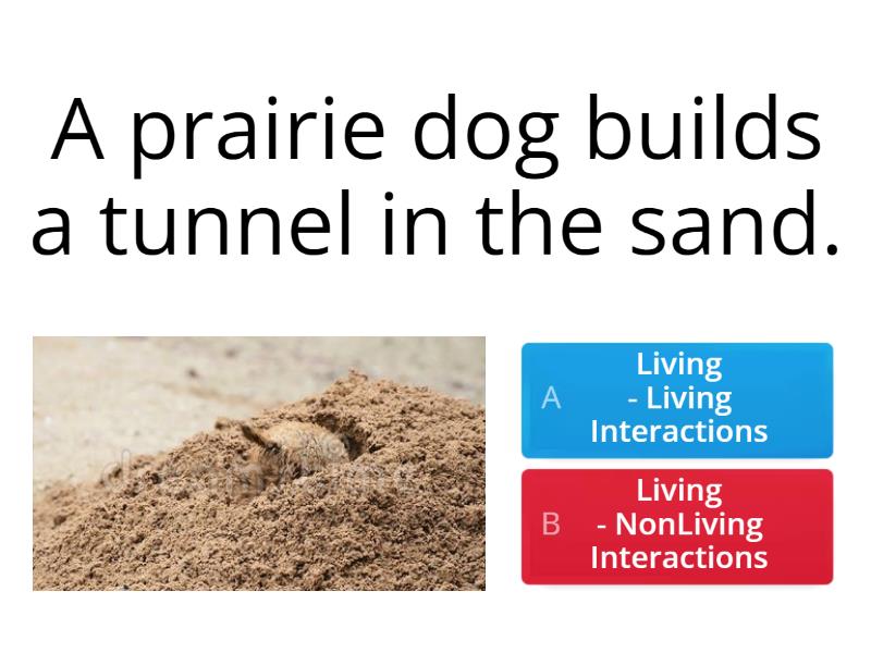Identifying Living and Non-Living Interactions in an Ecosystem - Quiz